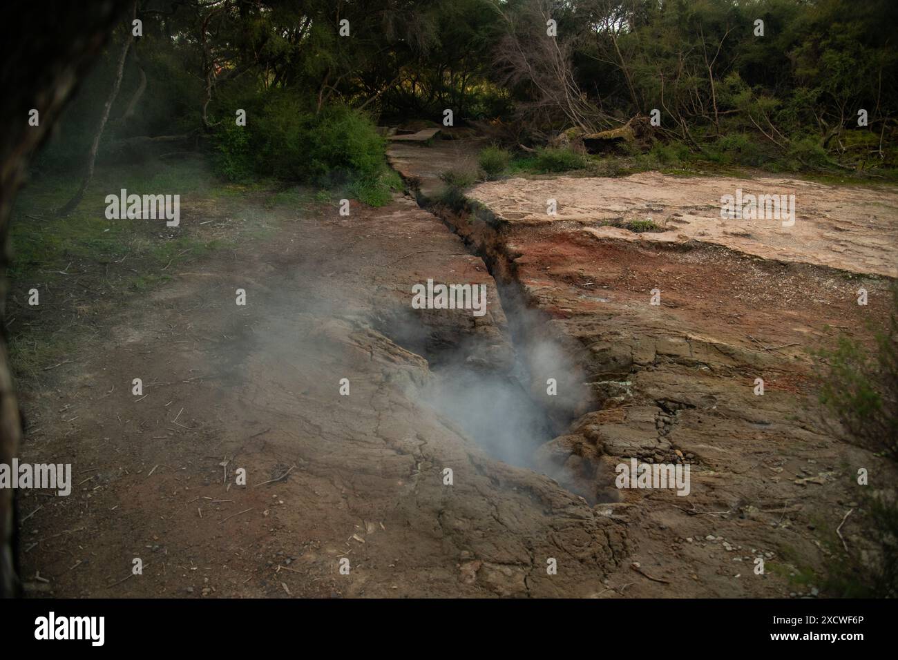 Steam venting through a fissure in the geothermally active area of ...