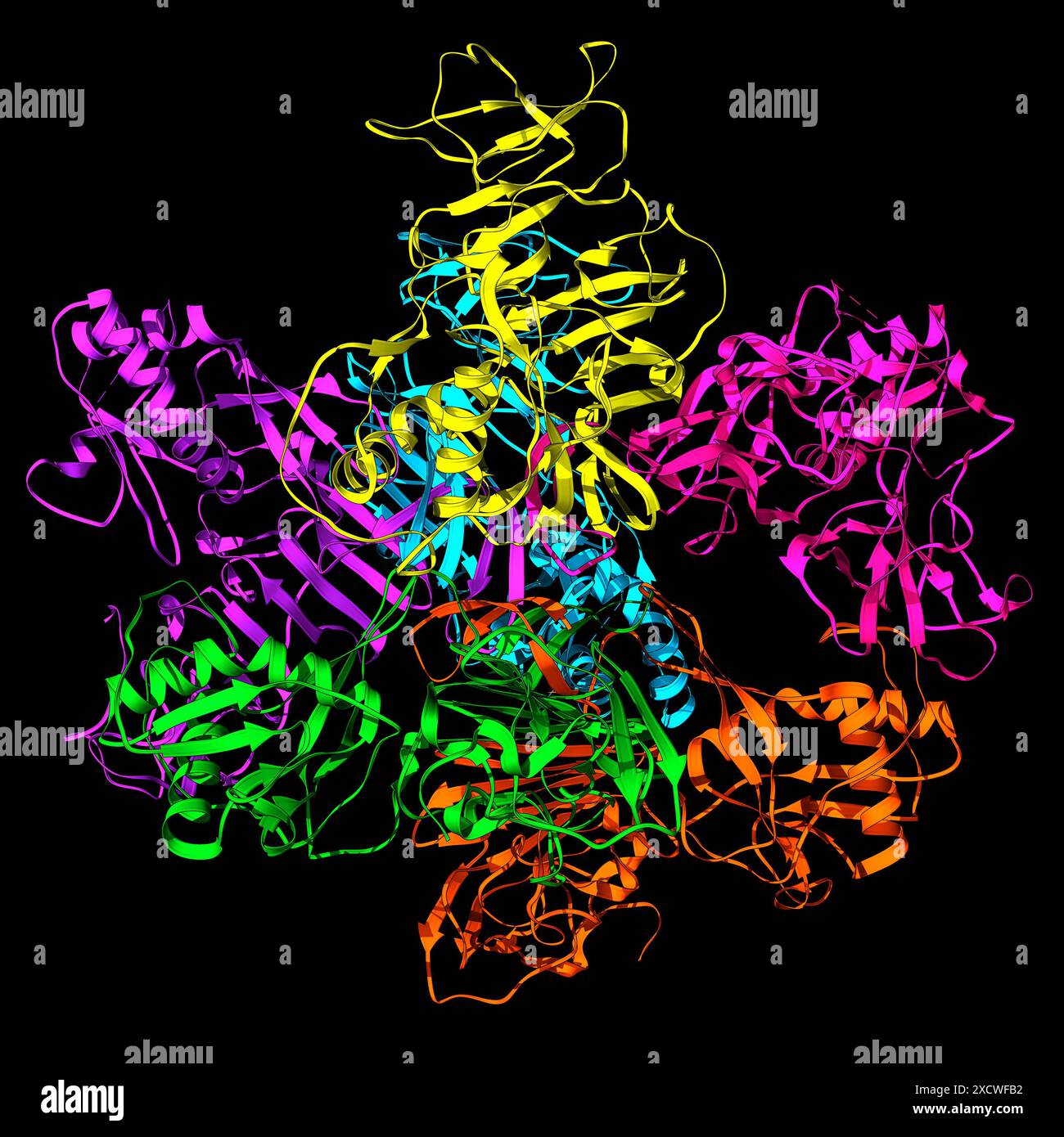 Molecular model of the homo 6-mer Dengue virus type 4 non-structural ...