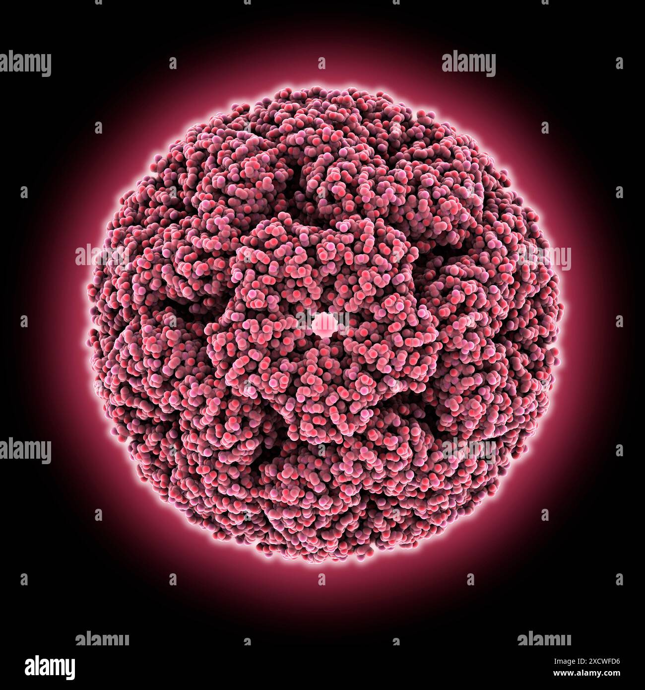 Lumazine synthase from Vicia faba. Molecular model of the icosahedral ...