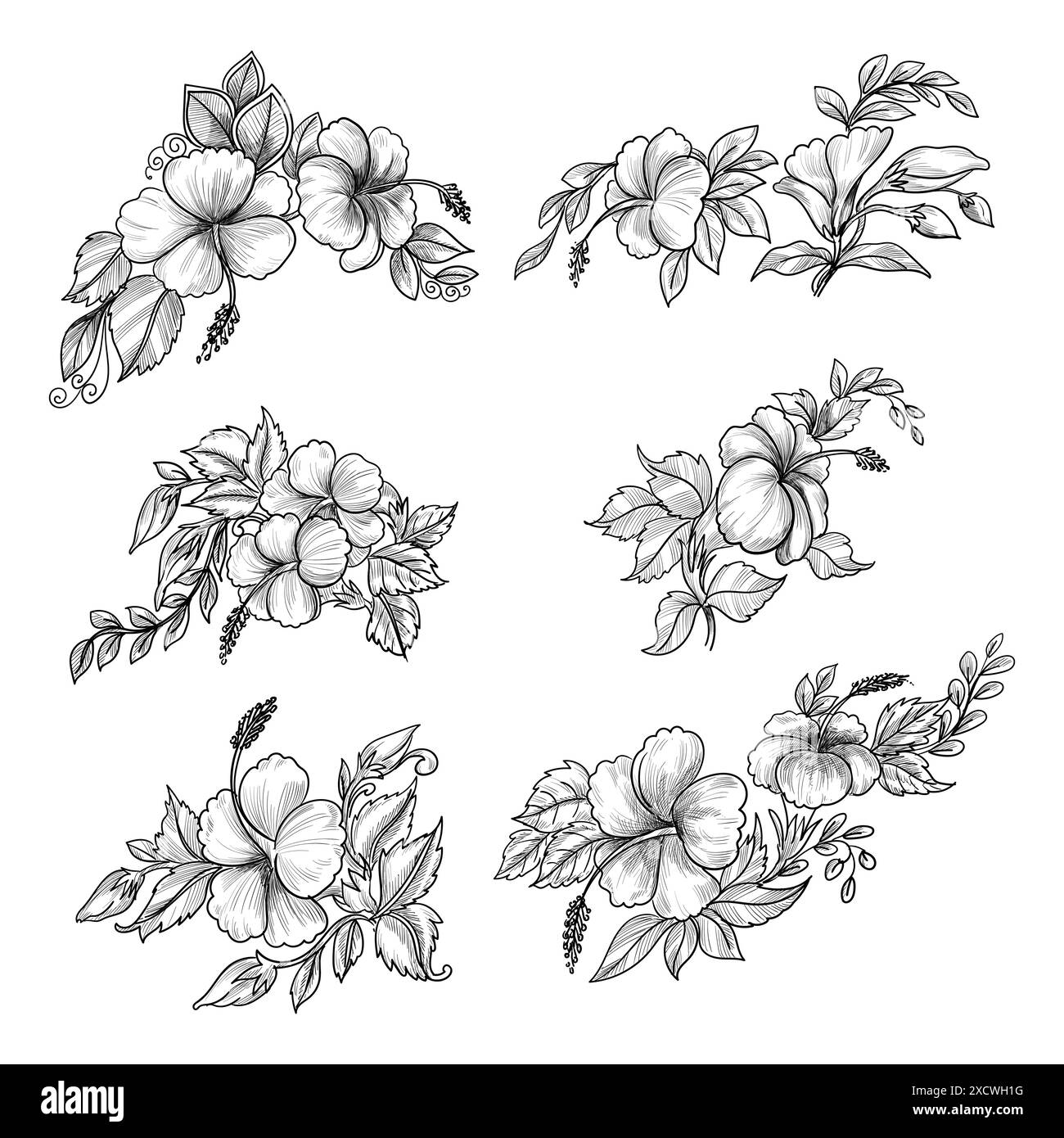 Beautiful hand draw sketch floral set design Stock Vector Image & Art ...