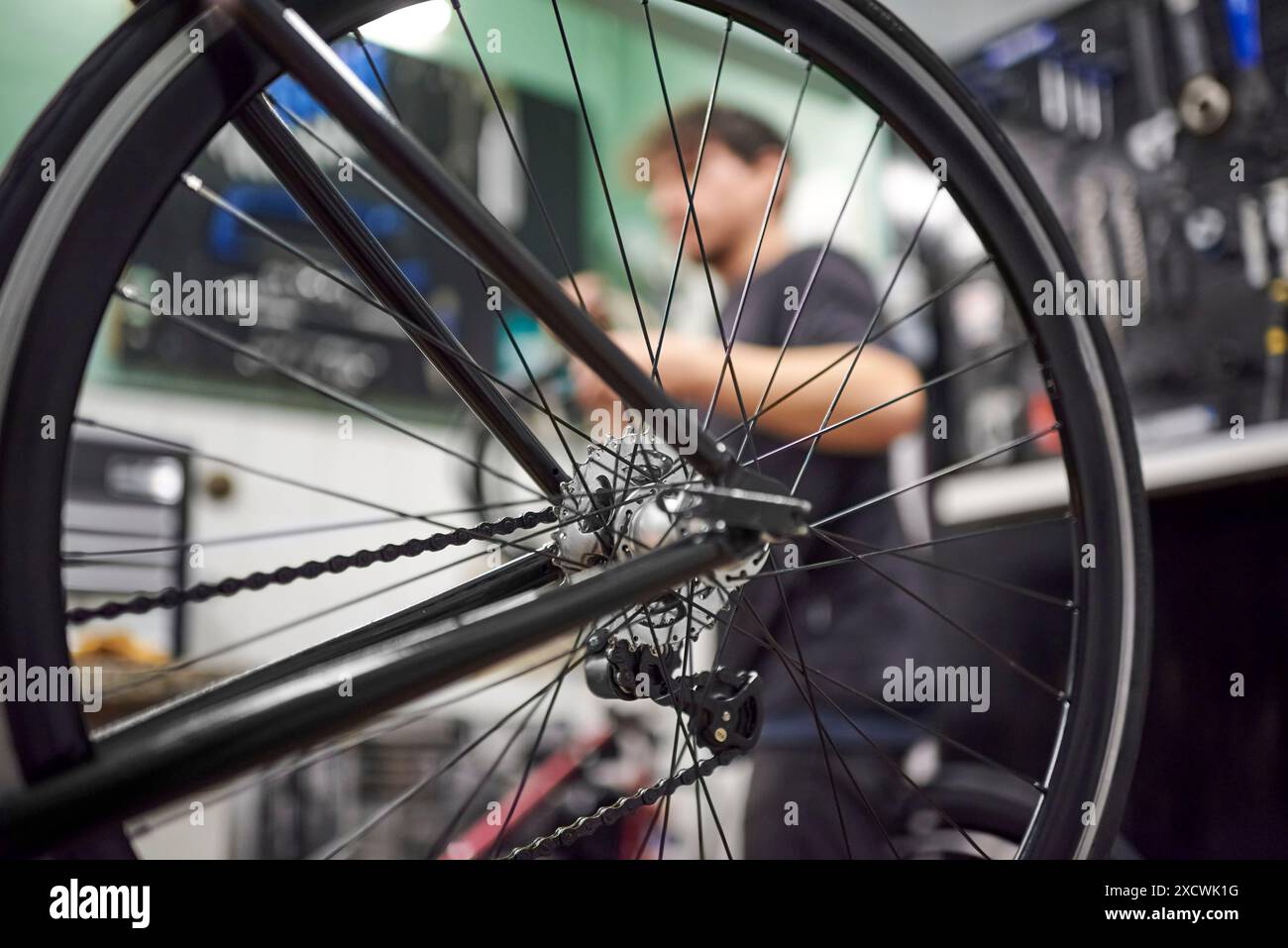 Interior bicycle repair service hi-res stock photography and images - Alamy