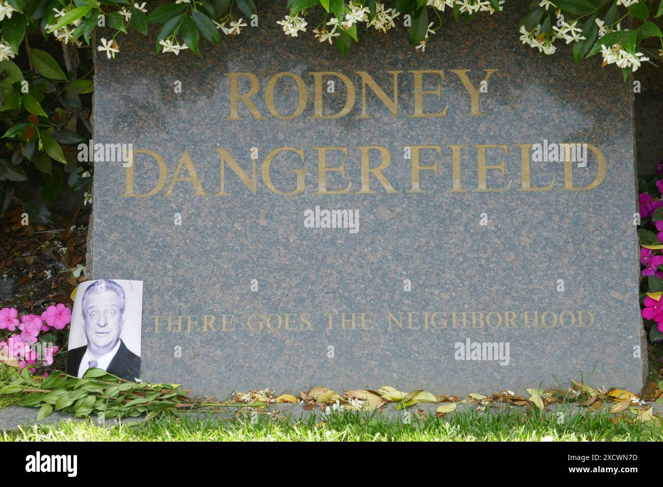 Los Angeles, California, USA 18th June 2024 Comedian Rodney Dangerfield ...