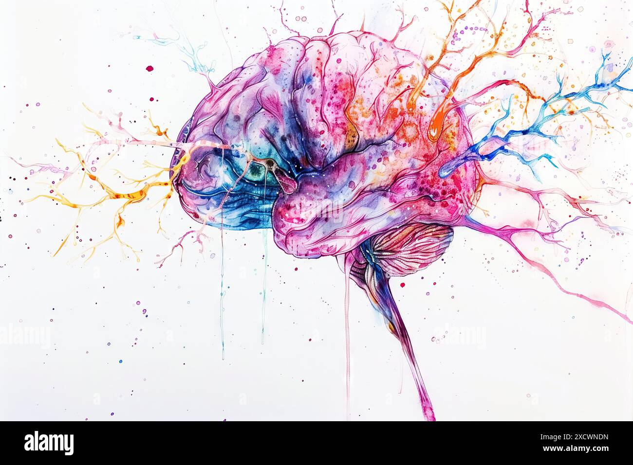 Watercolor Illustration of Human Brain Showing Neural Extensions and ...