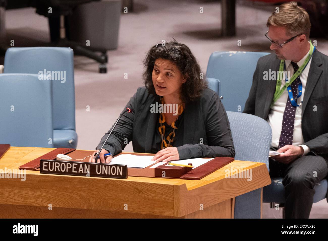 Ambassador Hedda Samson of European Union speaks during Security ...