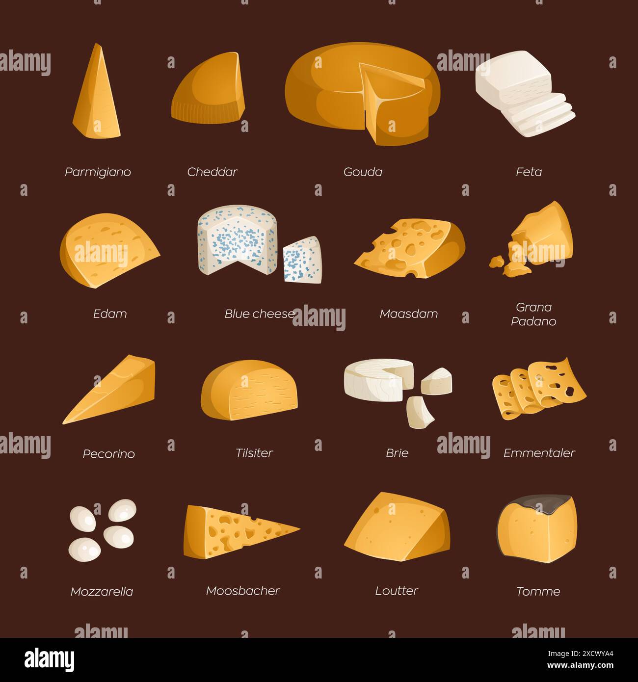 Big set of different types of cheeses with names. Vector illustration ...