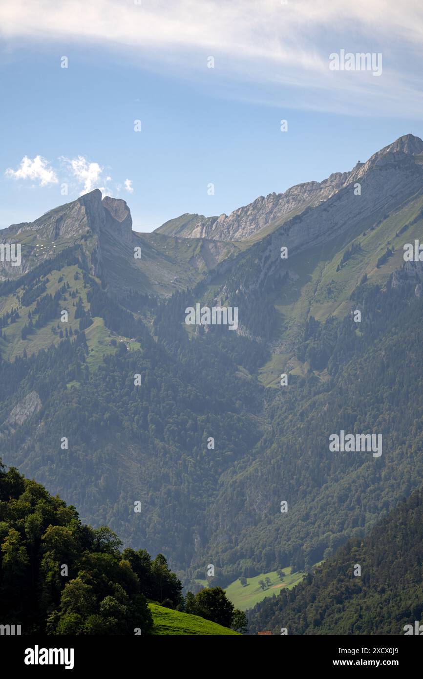 Forest background. Forest in the Alps mountains, Swiss. Mountain ...