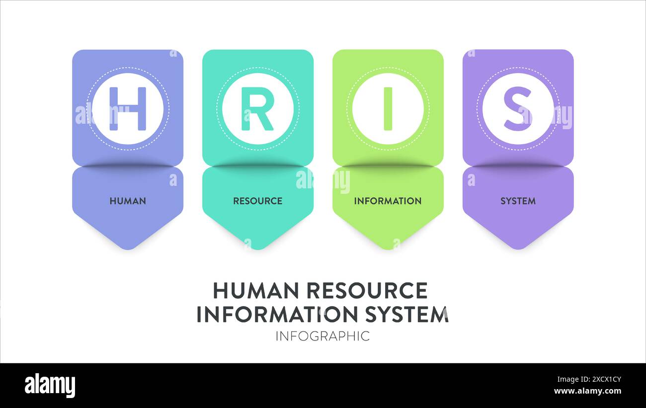 HRIS or Human resource information system framework strategy infographic chart illustration ...