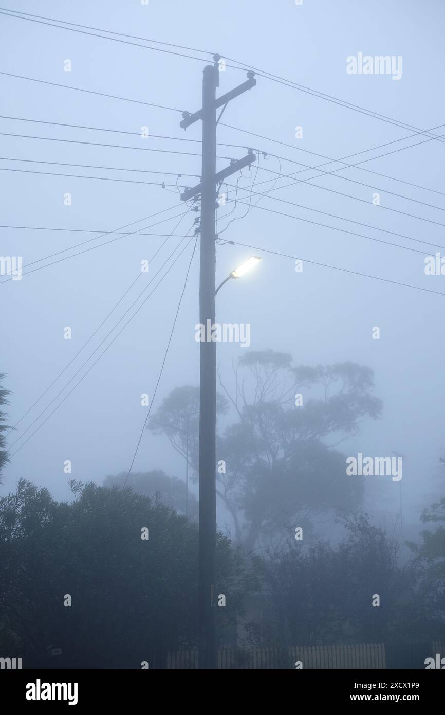 Looking up at a power pole, streetlight and power lines surrounded by ...