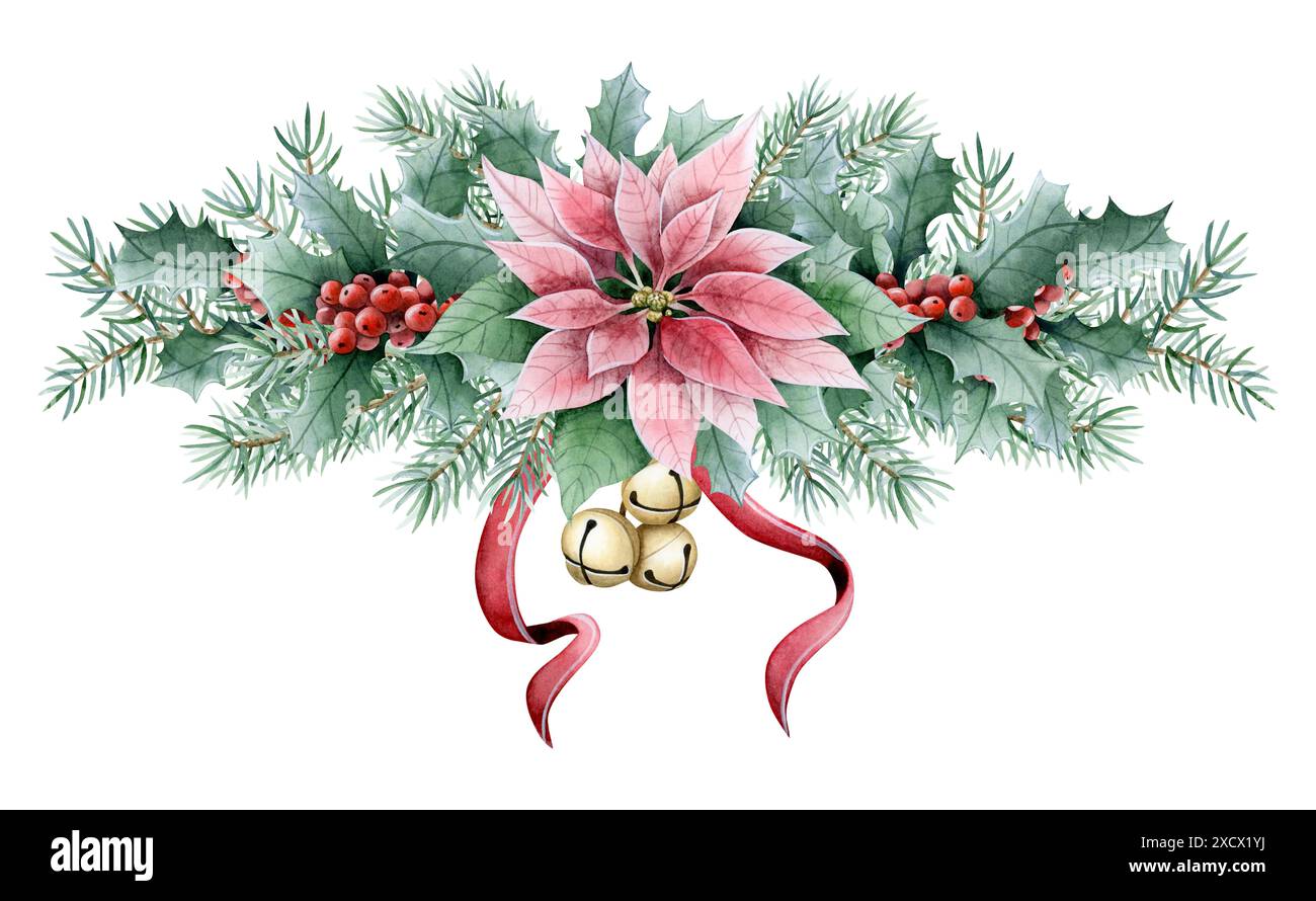 Christmas Poinsettia flower pine tree branches and red holly berries ...