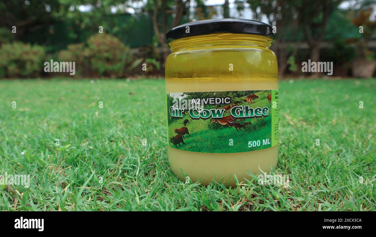 A2 Ghee or Clarified Butter made from Gir cow. A2 Pure ghee in ...