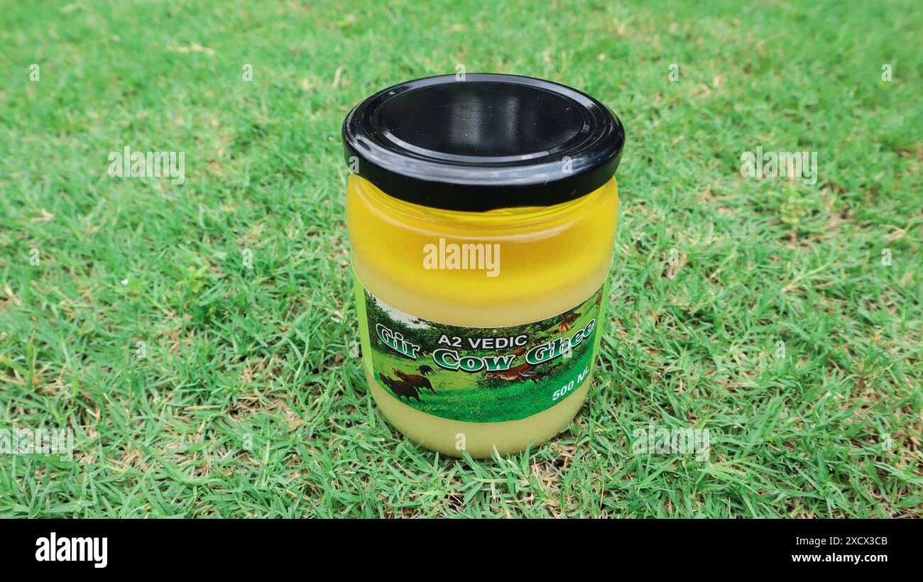 A2 Ghee or Clarified Butter made from Gir cow. A2 Pure ghee in ...