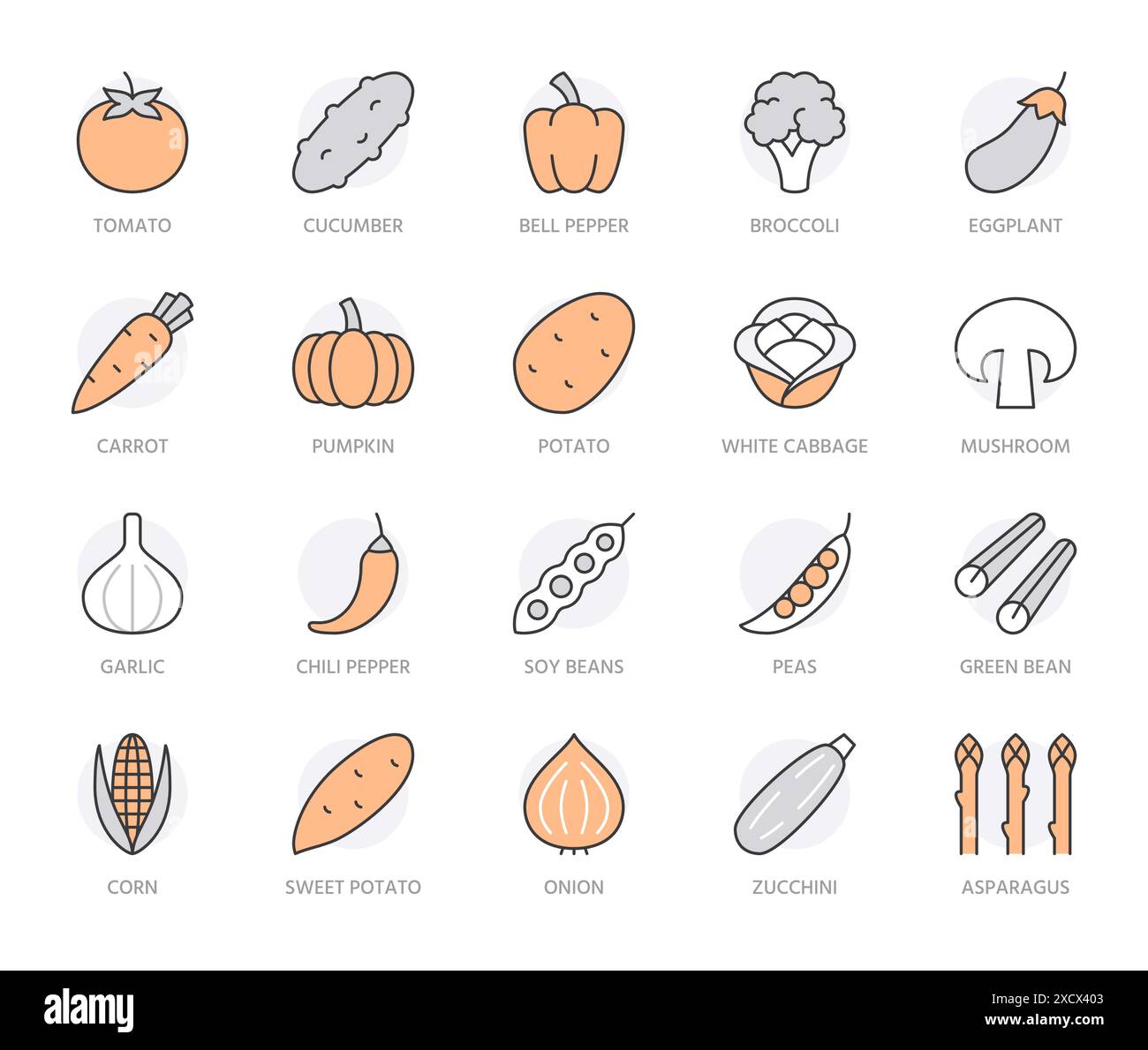 Vegetables line icon set. Pumpkin, cucumber, broccoli, carrot, zucchini ...