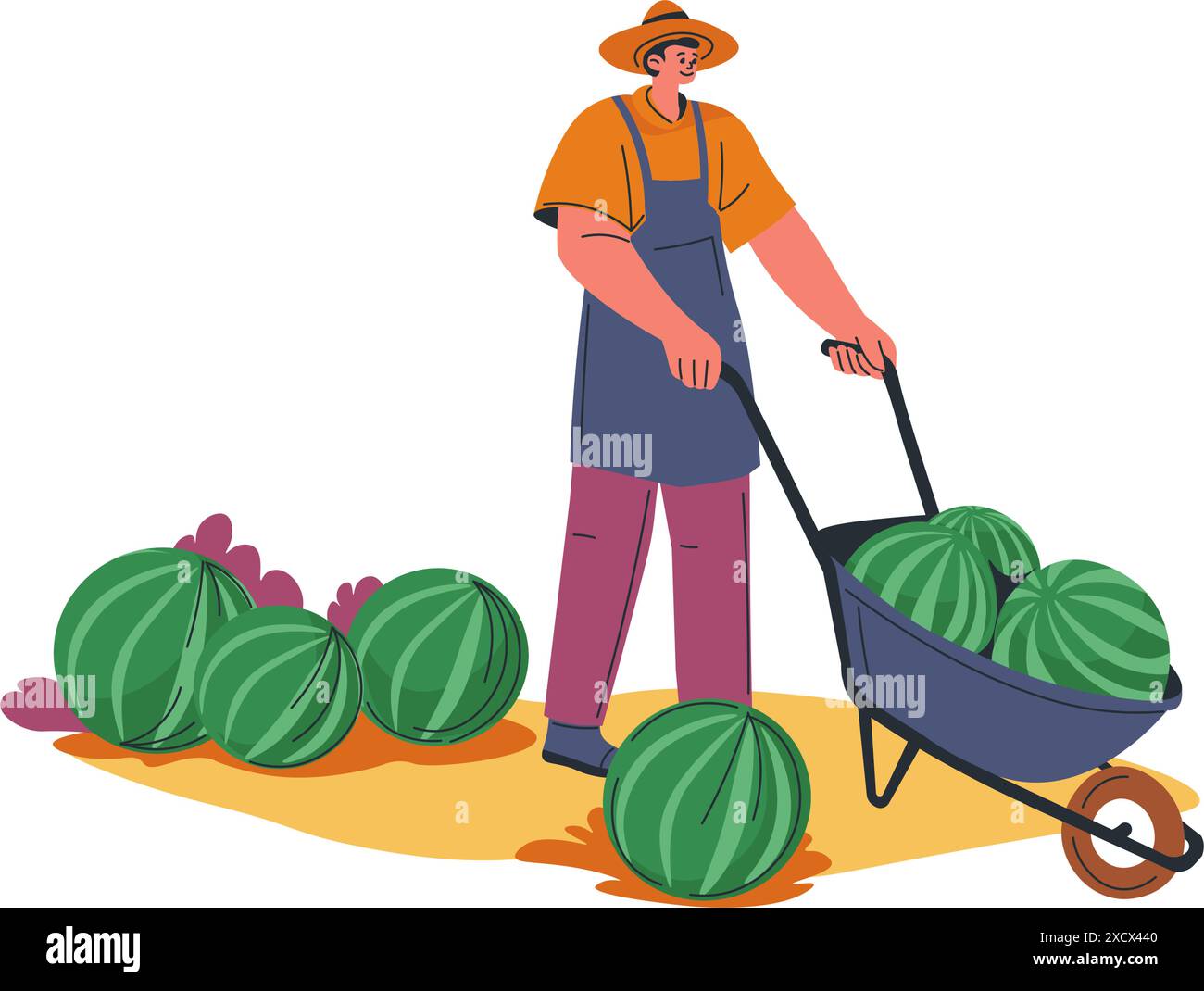 Farmer Harvesting Watermelons Illustration vector Stock Vector Image ...