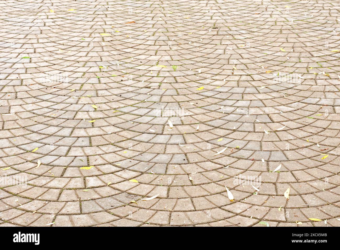 Stone tiles on street in city. Background for design. Front view with ...