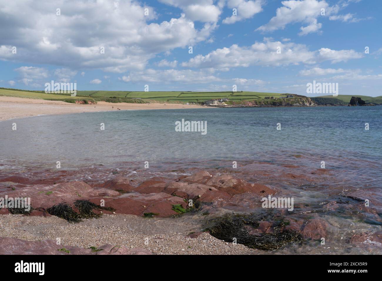 The National Trust Beach of South Milton Sands in the South Hams, Devon ...