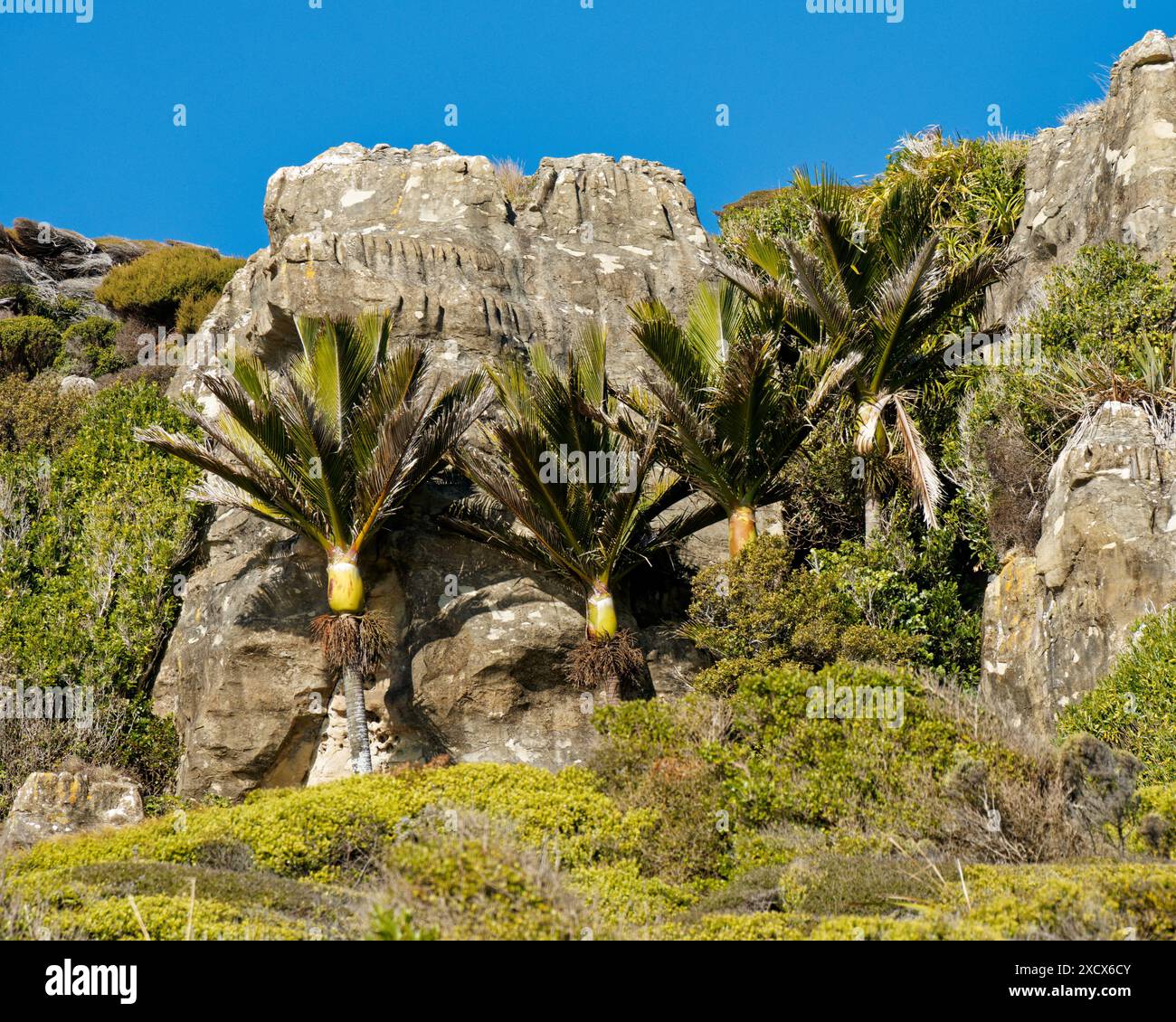 Karst limestone rock formations at Kaihoka, west coast of Golden Bay ...