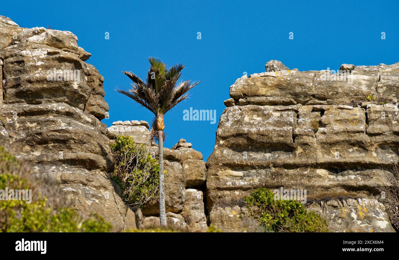 Karst limestone rock formations at Kaihoka, west coast of Golden Bay ...