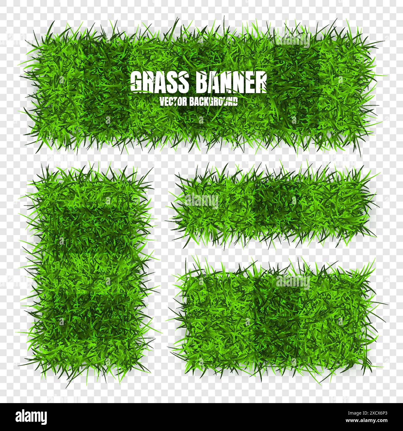Green grass banners, background. Field, meadow texture, grassy ...
