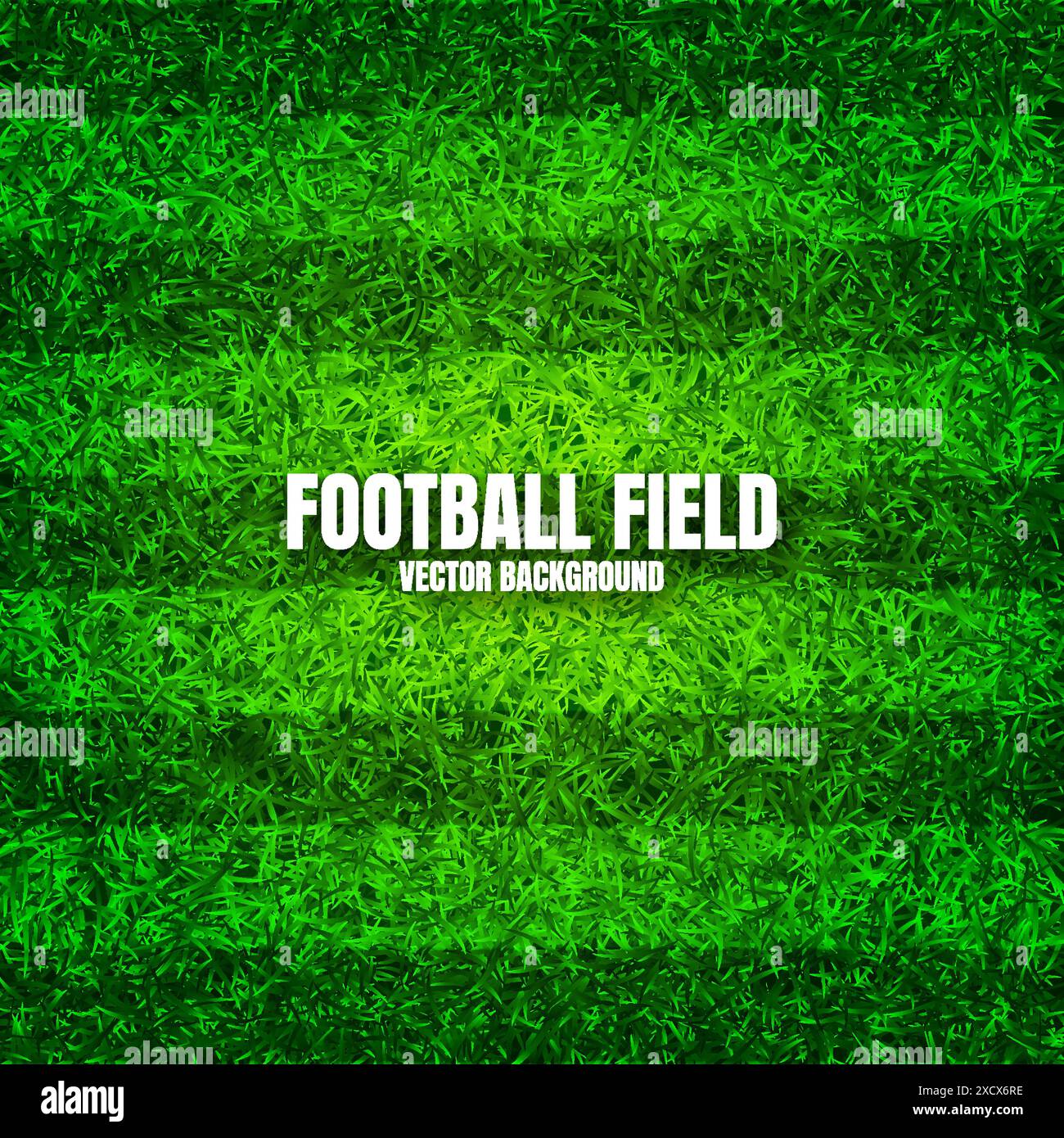 Soccer playing field with green grass. Football pitch background with ...