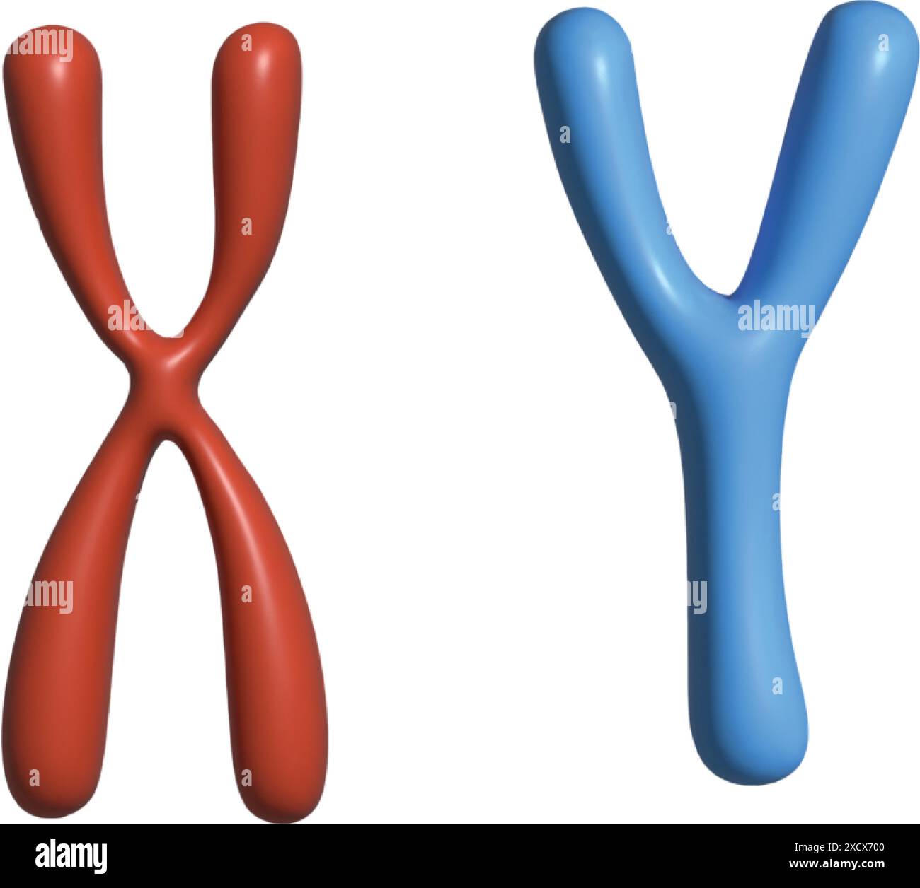 An illustration of chromosomes, featuring a clear and detailed design that represents the ...