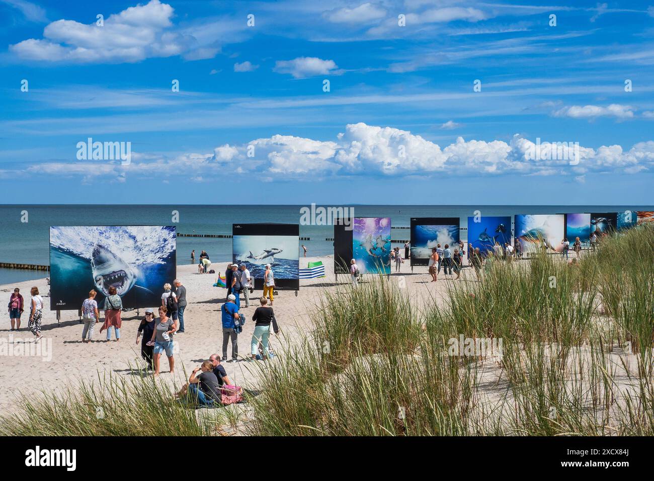 Wunderschne Zingst Strand Gesperrt Fotos