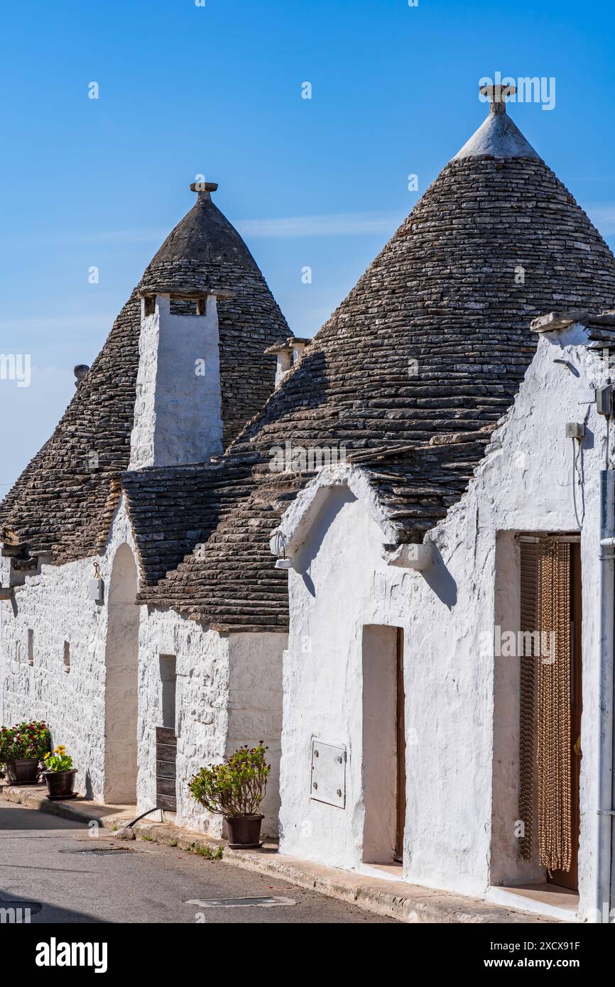 Famous traditional old dry stone trulli houses with conical roofs in ...