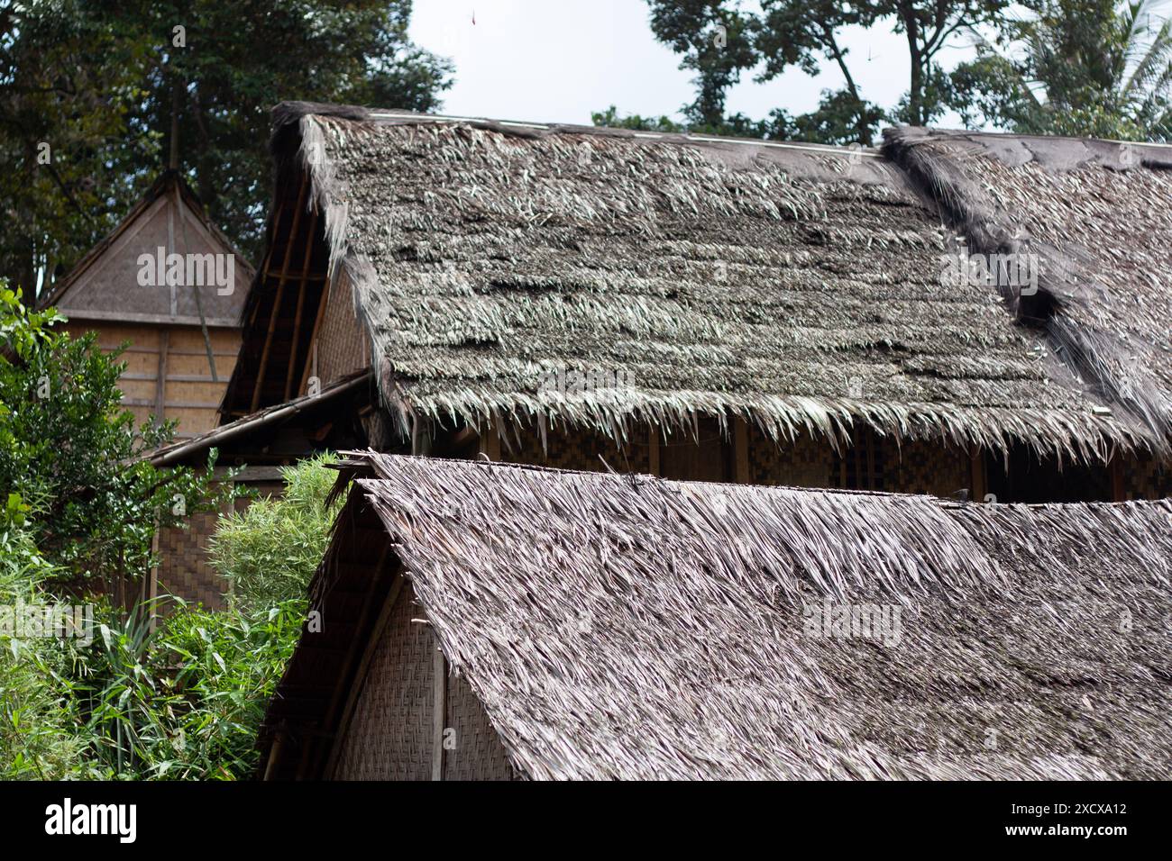 Desa Kanekes, Lebak, Banten, Indonesia - 21 December 2008: visiting ...