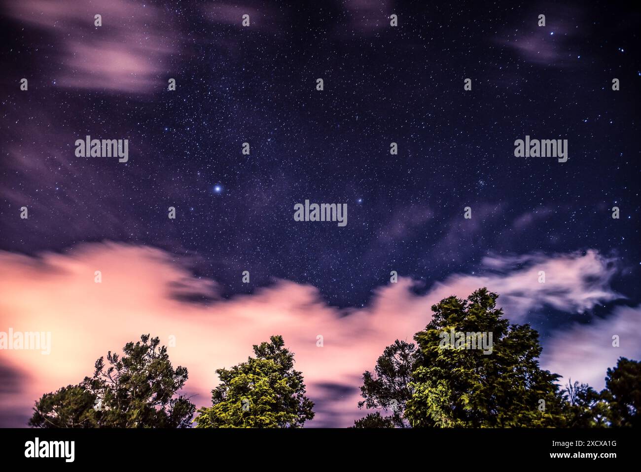 Starry Night Sky above Trees and Glowing Clouds Stock Photo - Alamy