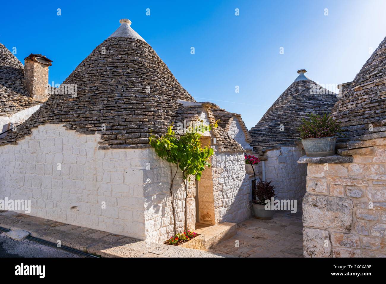 Famous traditional old dry stone trulli houses with conical roofs in ...