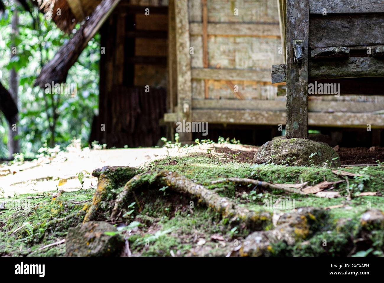 Desa Kanekes, Lebak, Banten, Indonesia - 21 December 2008: visiting ...