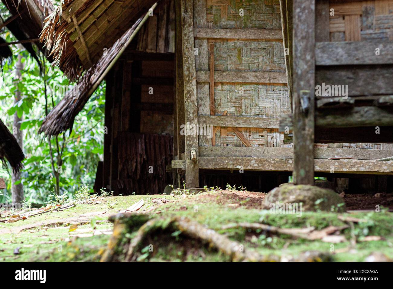 Desa Kanekes, Lebak, Banten, Indonesia - 21 December 2008: visiting ...
