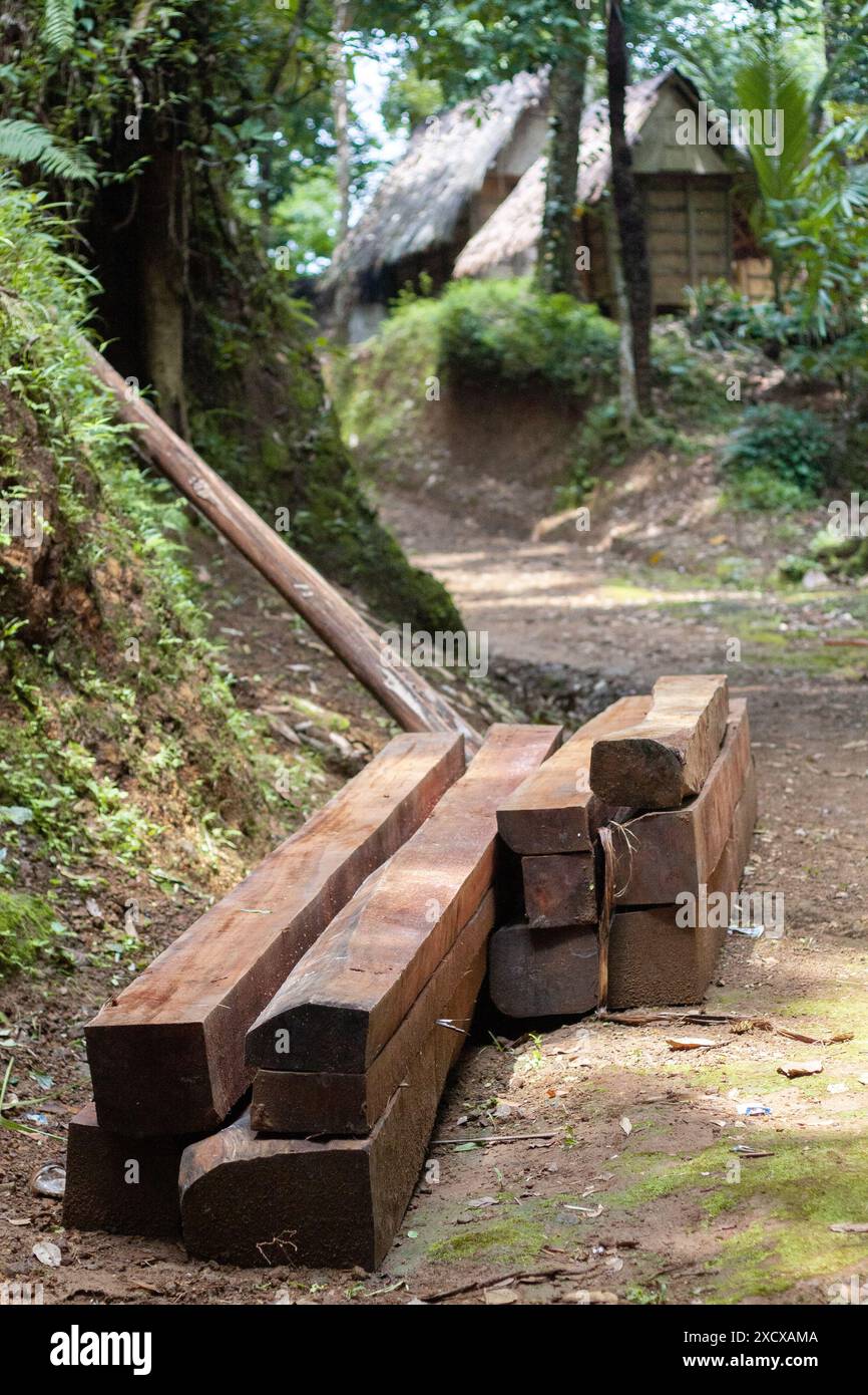 Desa Kanekes, Lebak, Banten, Indonesia - 21 December 2008: visiting ...