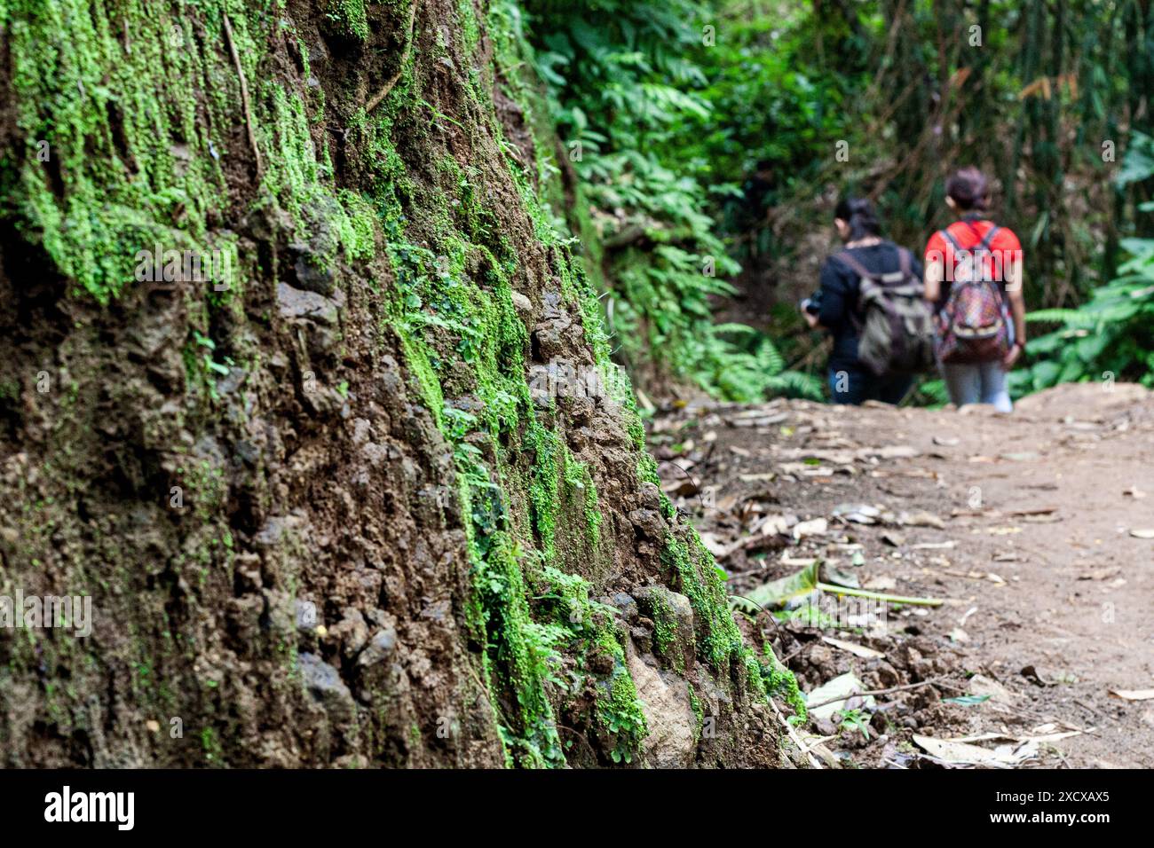 Desa Kanekes, Lebak, Banten, Indonesia - 21 December 2008: visiting ...