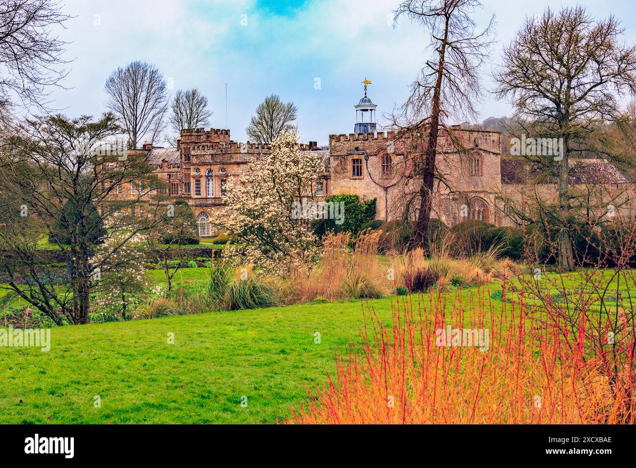 Spring tree blossom and flowers in the gardens surrounding Forde Abbey ...