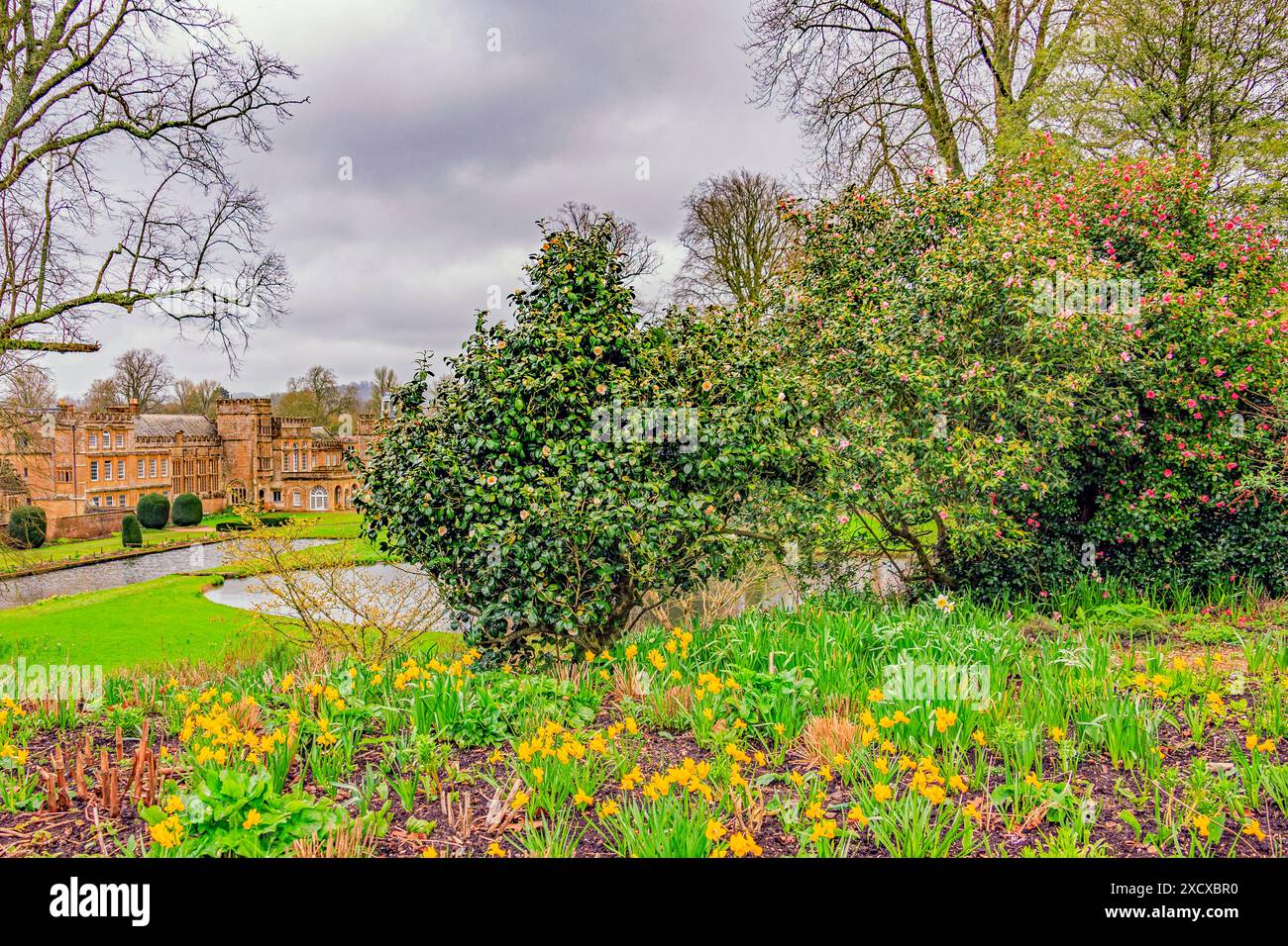 Forde abbey daffodils hi-res stock photography and images - Alamy