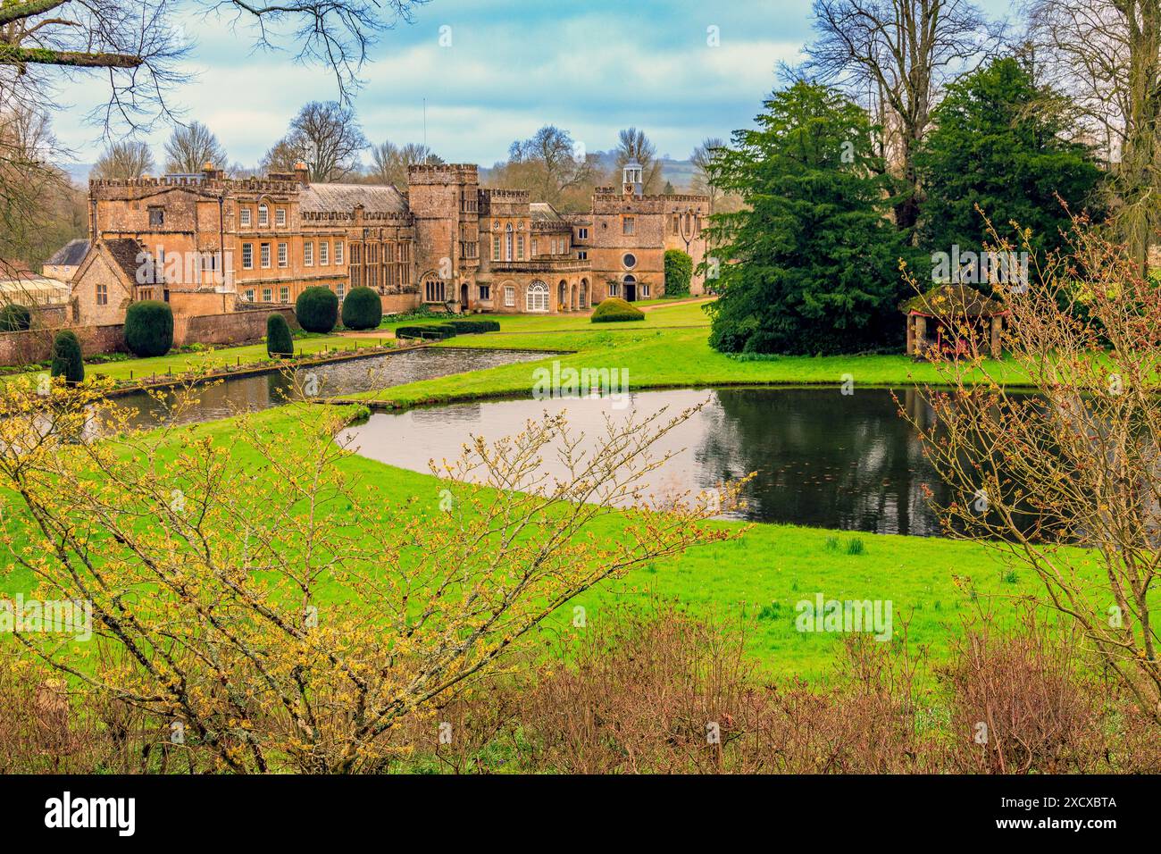 Spring tree blossom and flowers in the gardens surrounding Forde Abbey ...