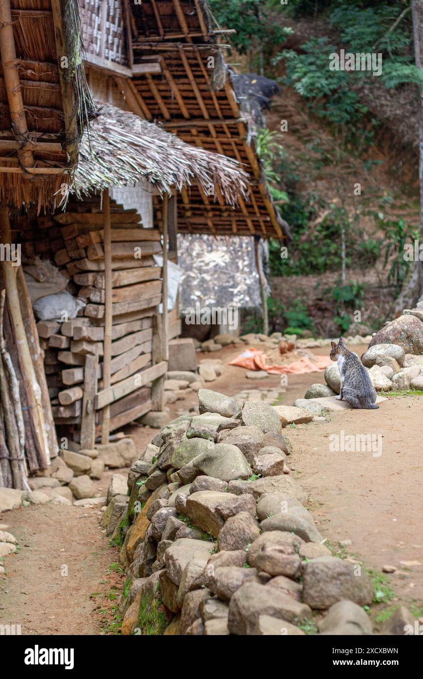 Desa Kanekes, Lebak, Banten, Indonesia - 21 December 2008: visiting ...