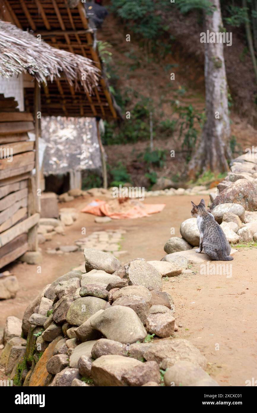 Desa Kanekes, Lebak, Banten, Indonesia - 21 December 2008: visiting ...