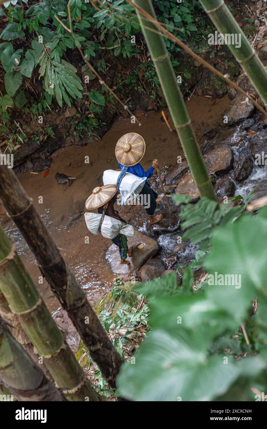 Desa Kanekes, Lebak, Banten, Indonesia - 21 December 2008: visiting ...