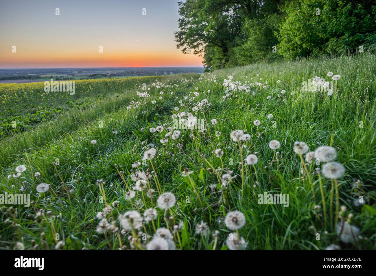 geography / travel, Germany, Lower Saxony, Wolfenbuettel, ADDITIONAL ...