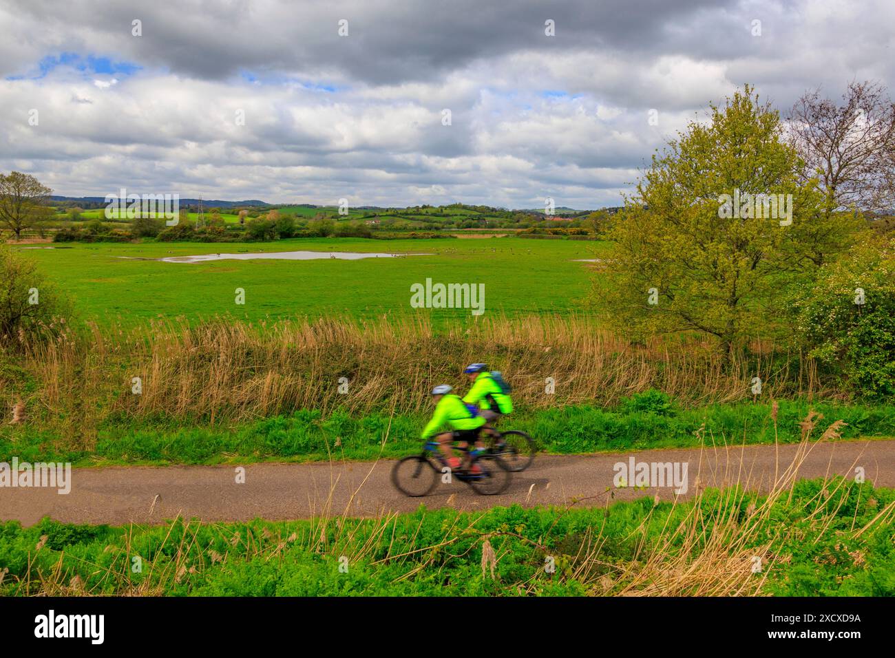 Two cyclists passing the Exminster Marshes Nature Reserve on the banks ...