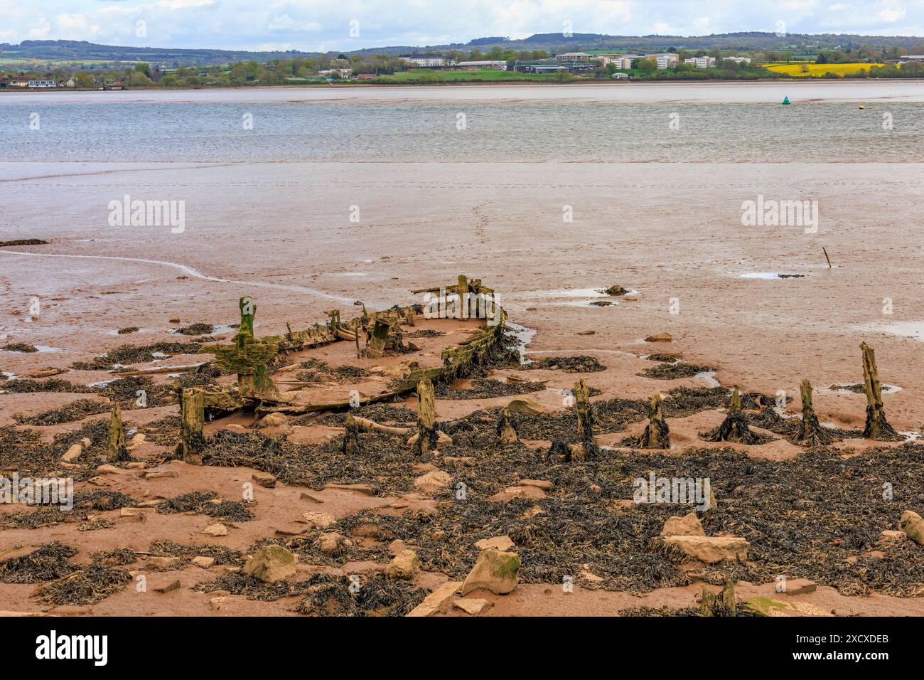 The ribs of former wooden vessels stick out from the mudbanks on the ...