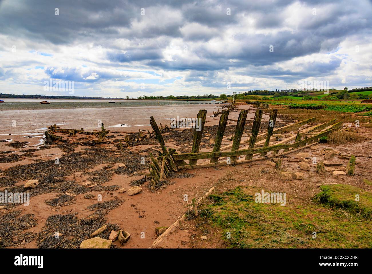 The ribs of former wooden vessels stick out from the mudbanks on the ...
