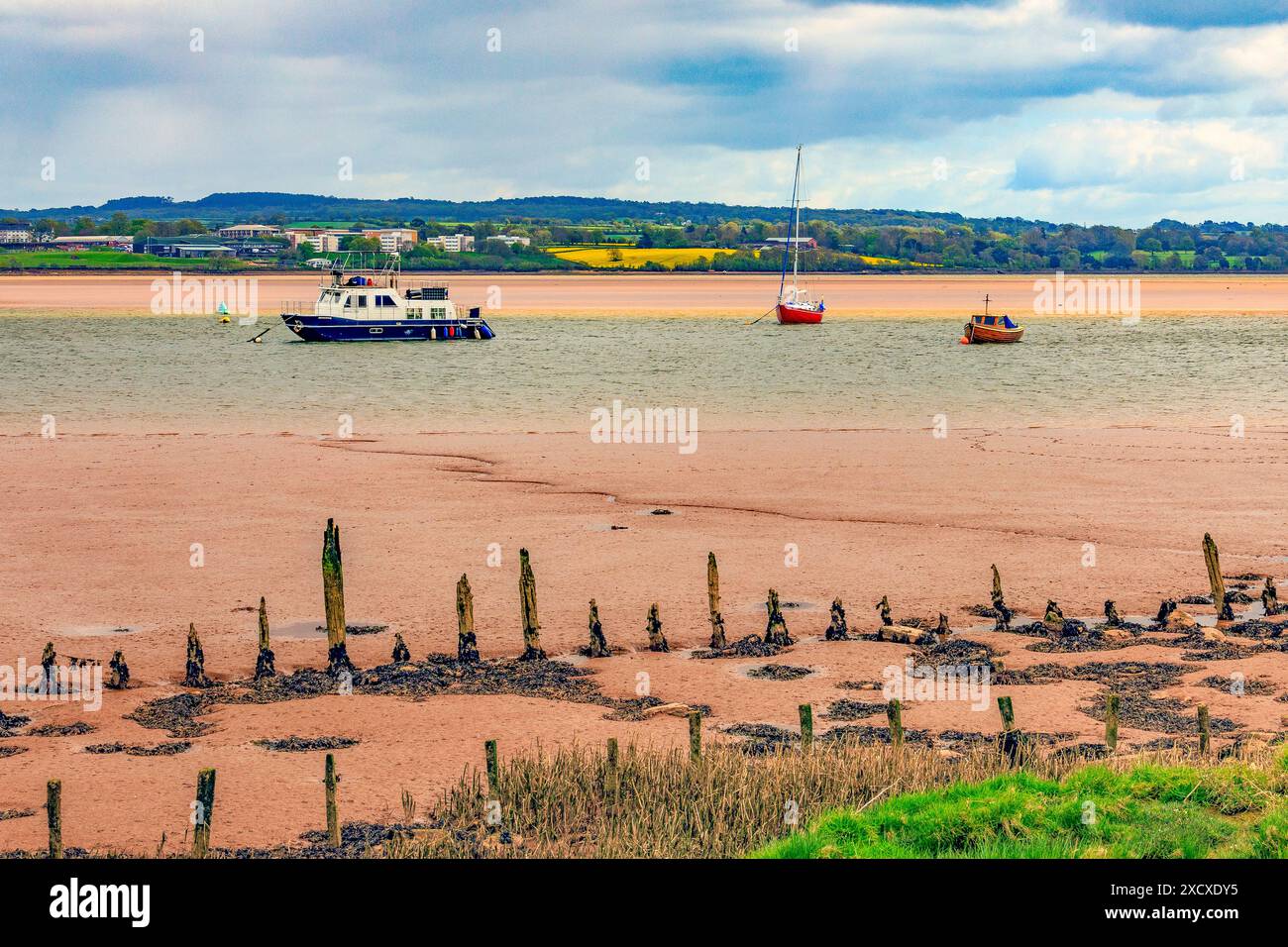 Decaying wooden posts mark the remains of former wharves on the River ...