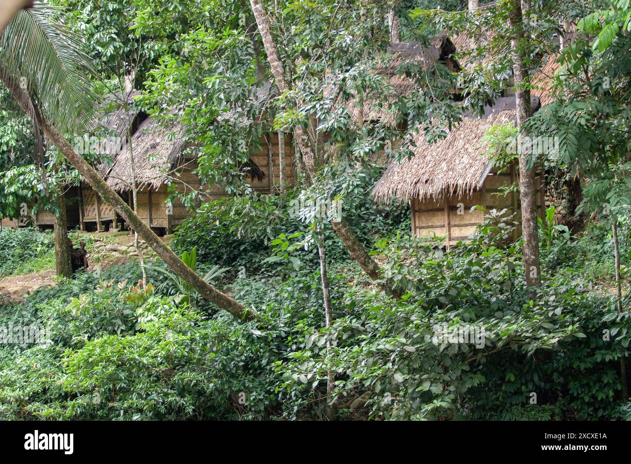 Desa Kanekes, Lebak, Banten, Indonesia - 21 December 2008: visiting ...