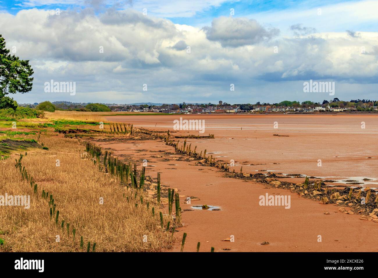 Decaying wooden posts mark the remains of former wharves on the River ...