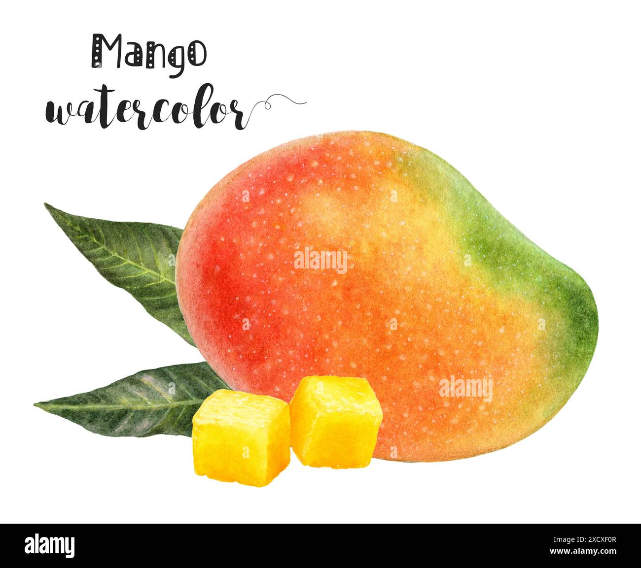 Watercolor illustration of a ripe mango with cubes and leaves, vibrant ...