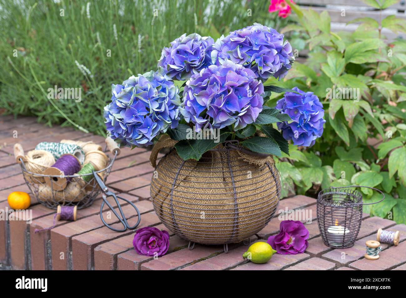 summer garden arrangement with blue hydrangea macrophylla in egg basket Stock Photo - Alamy