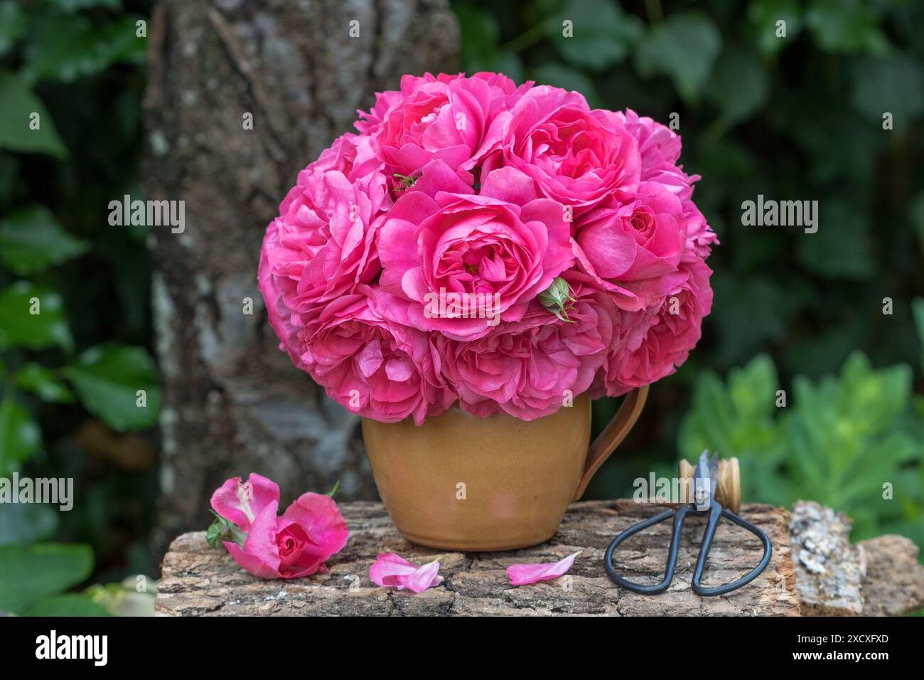 bouquet of pink roses Rosarium Uetersen in rustic vase in garden Stock ...