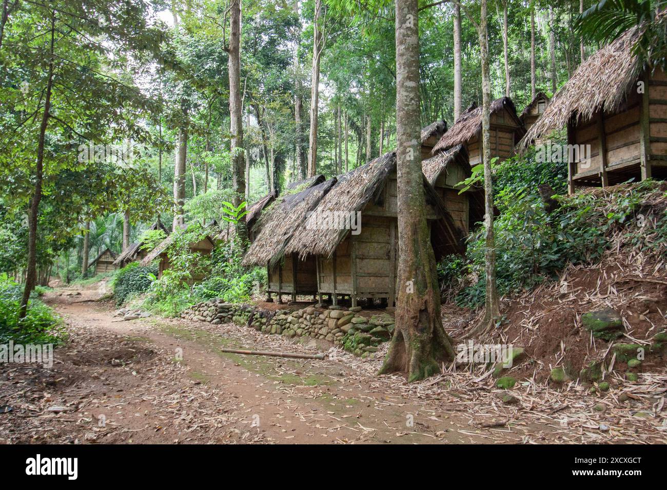 Desa Kanekes, Lebak, Banten, Indonesia - 21 December 2008: visiting ...